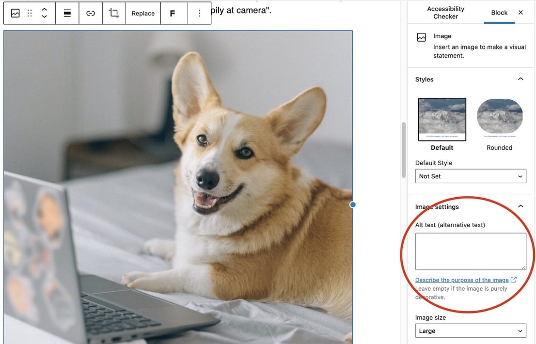 Image Empty Alternative Text: How to Fix - WordPress Accessibility